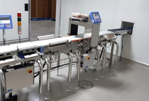 Understanding Sensitivity in Metal Detection | Key Factors & Tips